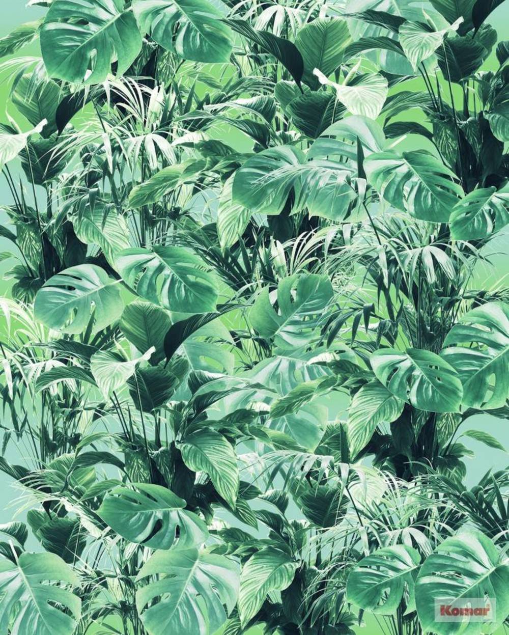 Komar Pure Evergreen P023-VD2 Behang - BehangSite.com